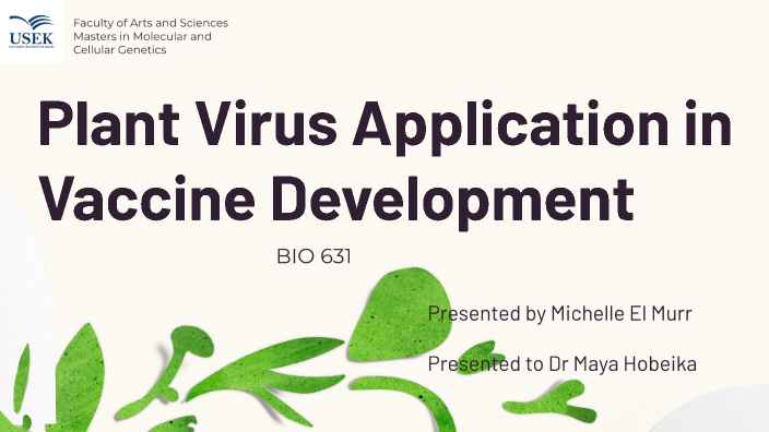 Plant Virus For Vaccine Application by Michelle El Murr on Prezi