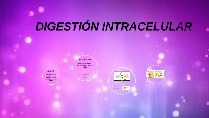 DIGESTIÓN INTRACELULAR by alejandra samillan on Prezi