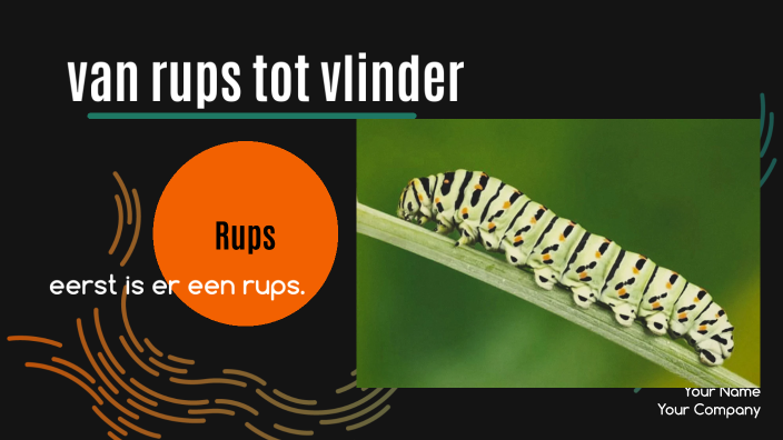 van rups naar vlinder by torben plas on Prezi