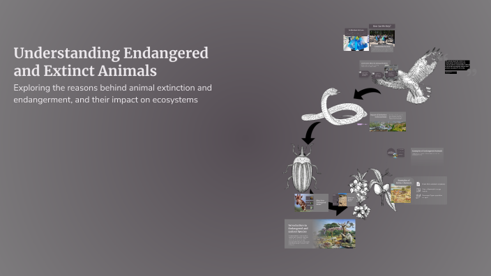 Understanding Endangered and Extinct Animals by Phan Hoàng Dũng on Prezi