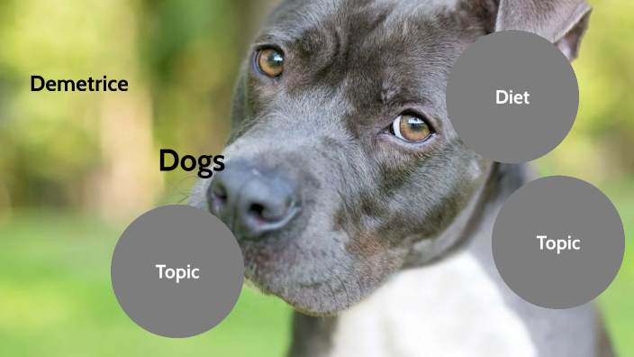 Dogs by Demetrice Johnson on Prezi
