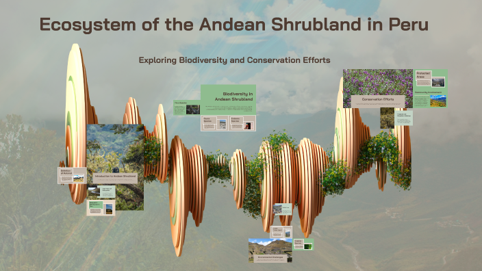 Andean Shrubland of Peru by Secret_Magna on Prezi