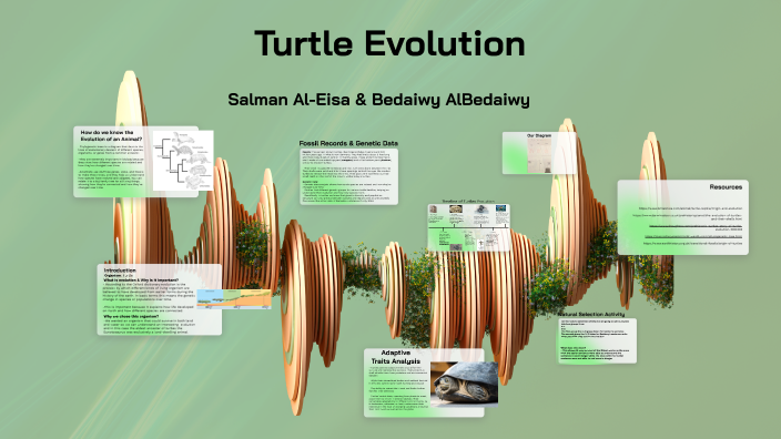 Turtle Evolution by Salman Al-Eisa on Prezi