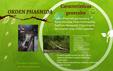 ORDEN FASMIDA by NegRito Salinas on Prezi