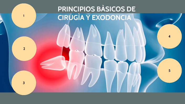 PRINCIPIOS BÀSICOS DE CIRUGÌA Y EXODONCIA by MiShel Félix on Prezi