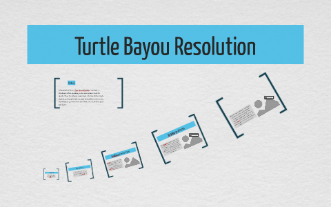 Turtle Bayou Resolution by Akito Minosoko on Prezi