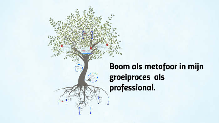 Boom als metafoor in mijn groeiproces. by Nina Vergouwen on Prezi