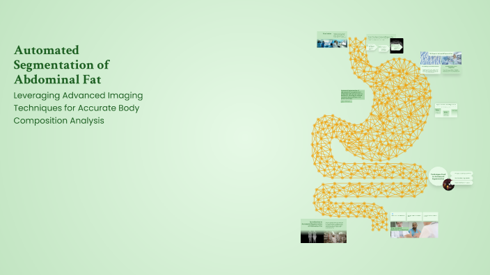 Automated Segmentation of Abdominal Fat by mays alrefai25 on Prezi