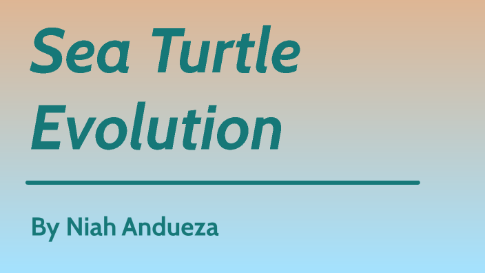 Sea Turtle Evolution by Niah Andueza on Prezi