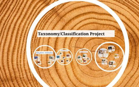 Taxonomy/Classification Project by Marjorie Anne Foster on Prezi