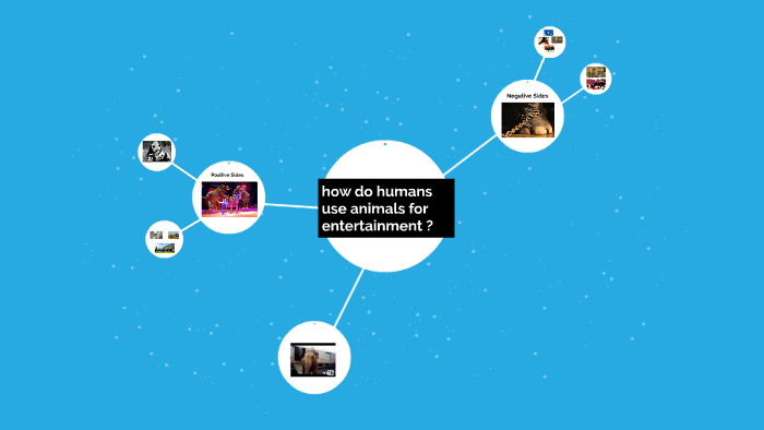 how do humans use animals for entertainment by nisa genc on Prezi