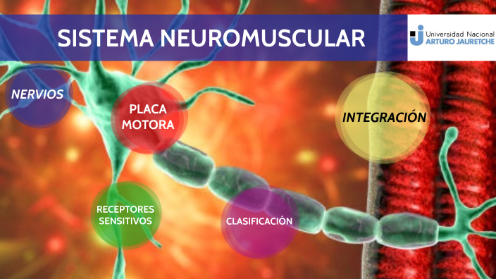 SNP Y PLACA MOTORA by LUCIANO SANTIAGO DAVAGNINO on Prezi