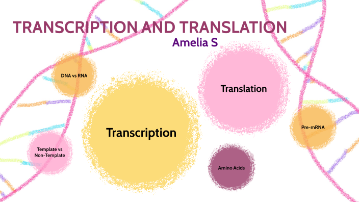 Transcription and Translation Visual Model by AMELIA SKOUSON on Prezi