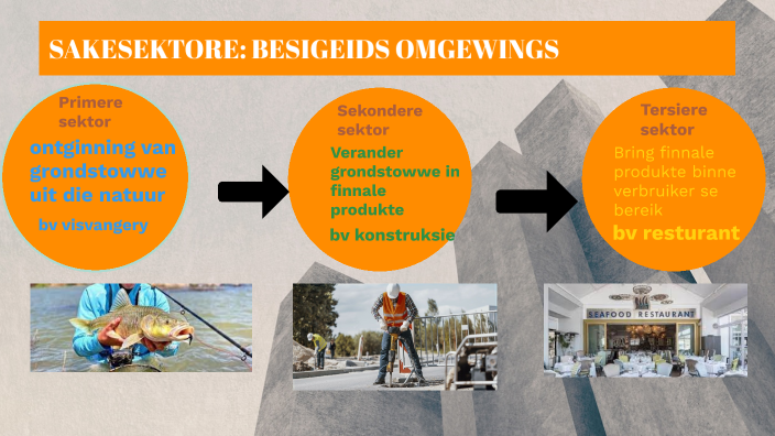 BESIGHEIDS SEKTORE by maryann fourie on Prezi