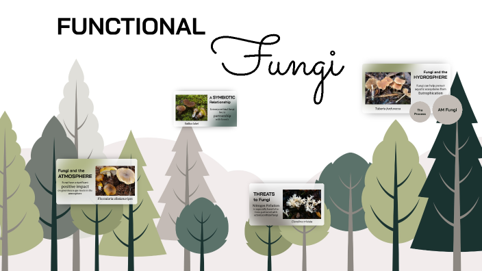 Functional Fungi by B A on Prezi