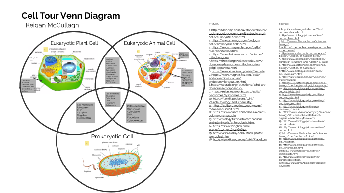 cell tour and venn diagram by Keigan McCullagh on Prezi