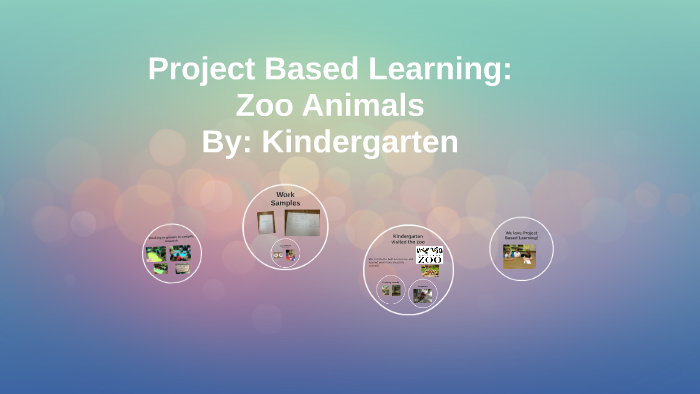 Kindergarten Zoo Animals Project Based Learning by morgan turner on Prezi