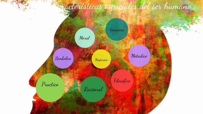 Características de un ser filosófico by Herrera Garcia Donovan Axel on ...