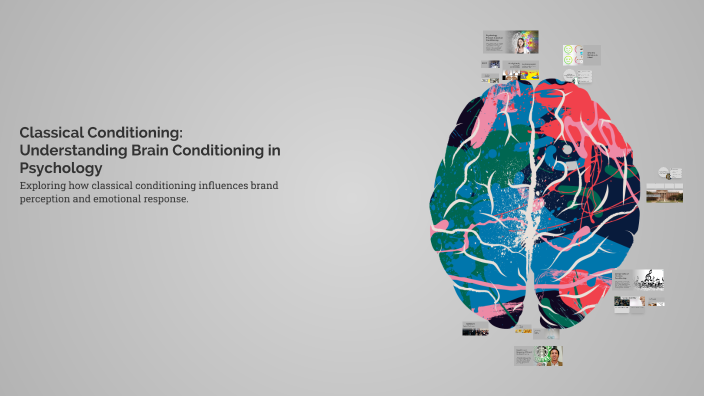 Classical Conditioning: Understanding Brain Conditioning in Psychology ...