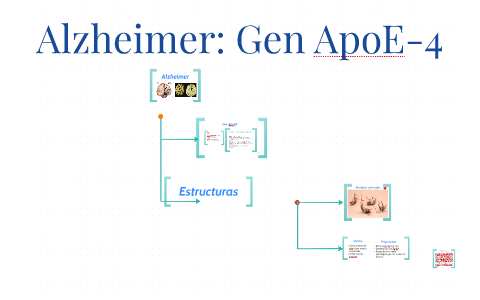 Alzheimer: Gen ApoE-4 by Diana Arlene on Prezi