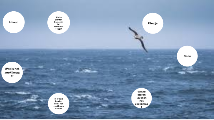 Het Zeeklimaat by christy christyvandermark on Prezi