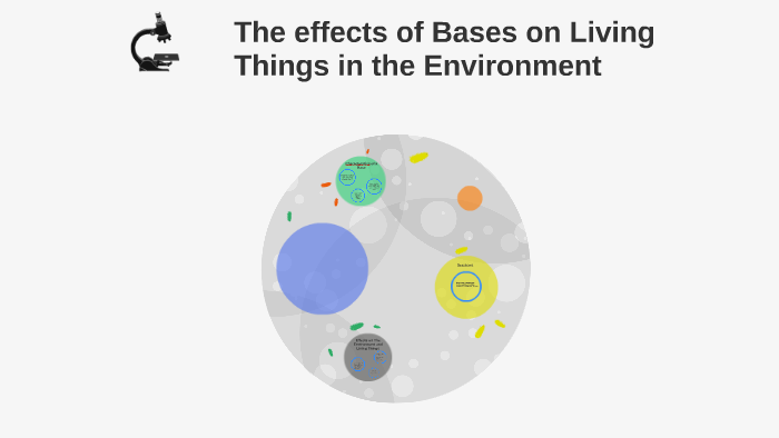 The effects of Bases on Living Things in the Environment by Tyler ...