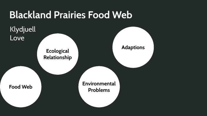 Blackland Prairies Food Web by Klydjuell Love-Williams on Prezi