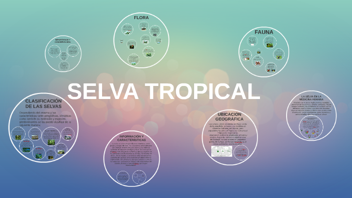 SELVA TROPICAL by Laura Dìaz on Prezi