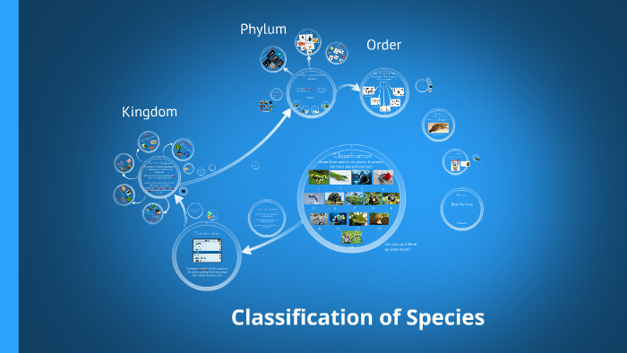 Classification by David Gabb