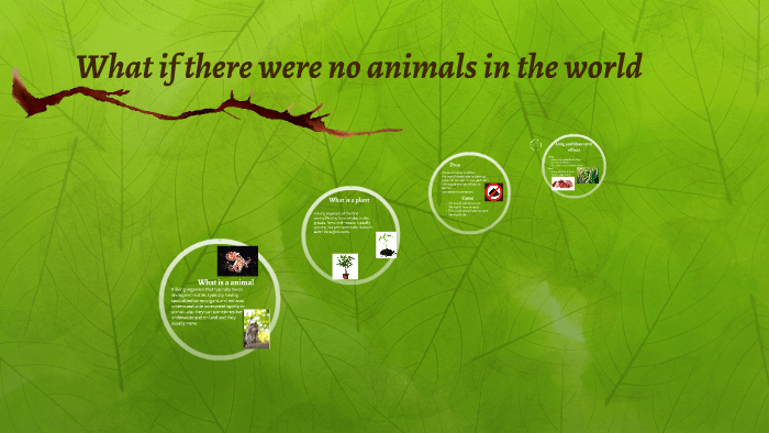What if there were no animals in the world by Dylan Harper on Prezi