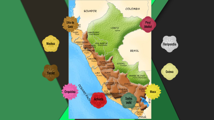 Flora en el Perú by Silvio Joel on Prezi