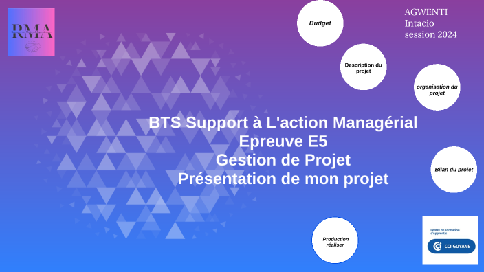 Présentation du projet by Agwenti 134 on Prezi