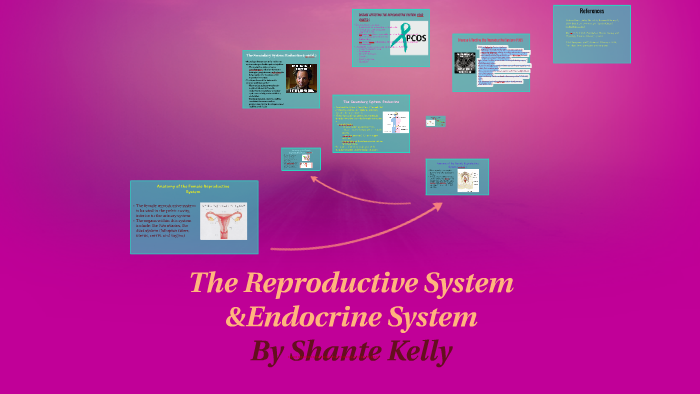 The Reproductive System &Endocrine Sytem by Shante Kelly on Prezi