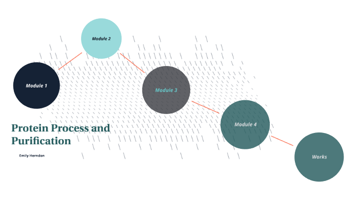 4.1 Protein Production and Purification by Emily Herndon on Prezi