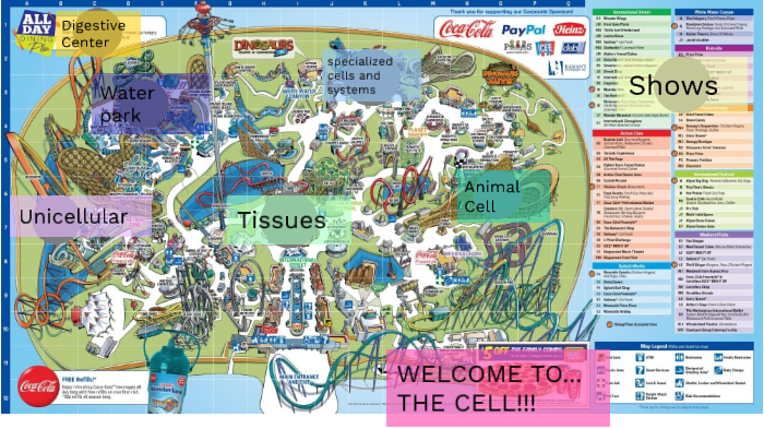 (Original) the cell amusement park by Marisa Hager on Prezi