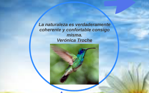 La naturaleza es verdaderamente coherente y confortable cons by ...