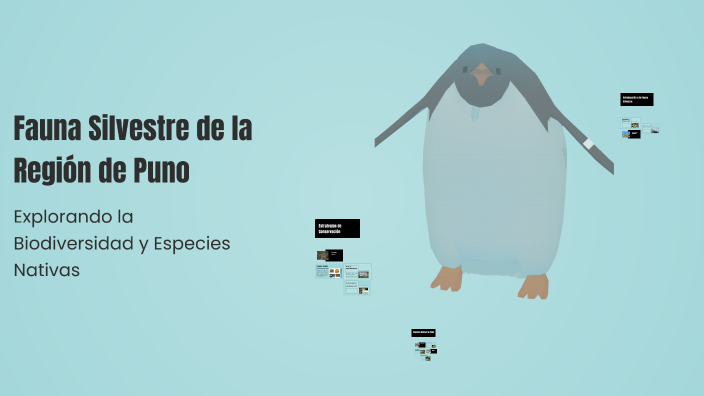 Fauna Silvestre de la Región de Puno by Rol Rolin Condori salamanca on ...