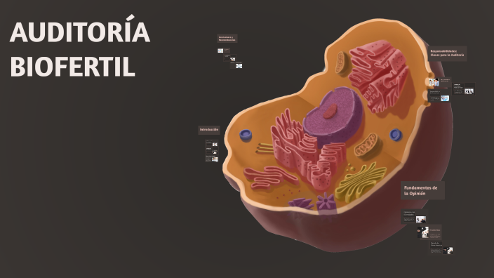 AUDITORÍA BIOFERTIL by Yohana Prieto on Prezi