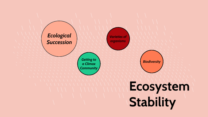 Ecosystem Stability Project by Serenity Henry on Prezi