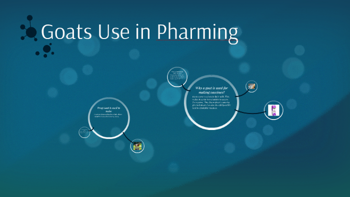 Goats Use in Pharming by Tiffany Hoefler on Prezi