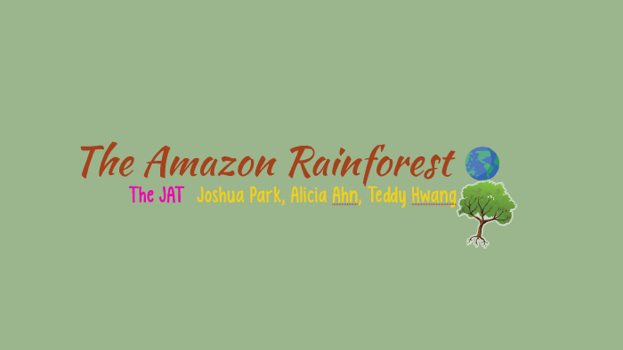 Welcome to the amazon rainforest by Teddy Hwang