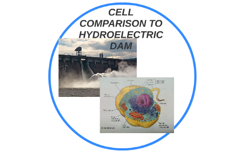 CELL COMPARISON TO HYDROELECTRIC DAM by Brett Bohlmann on Prezi