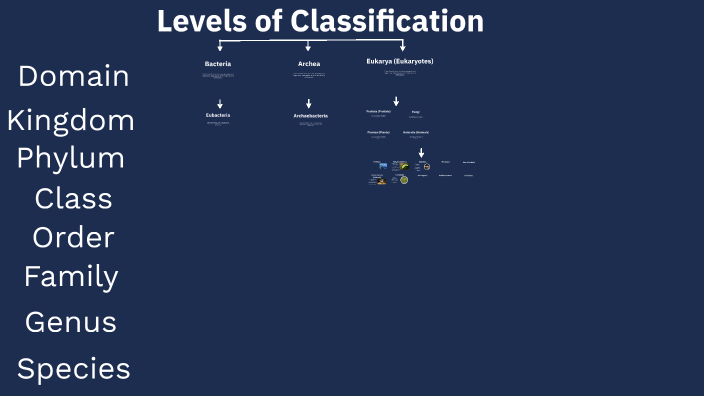 Classification by Malea Warr on Prezi