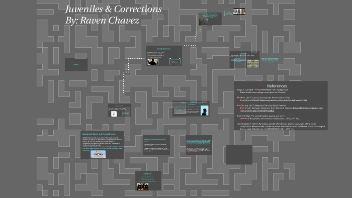Juveniles & Corrections by Raven Chavez