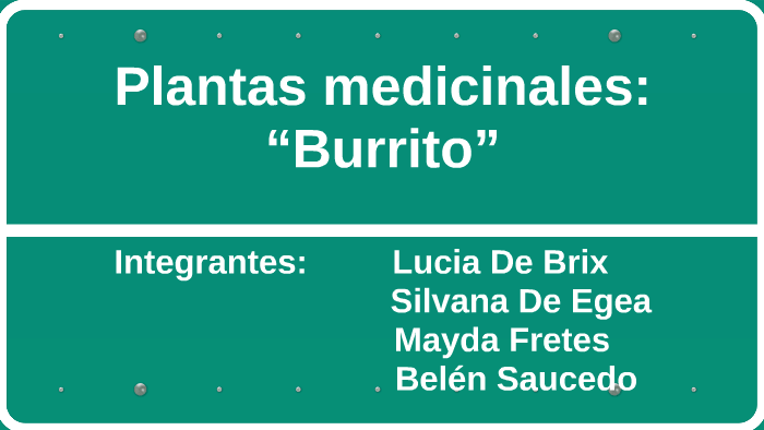 Plantas medicinales: “Burrito” by Silvana De Egea on Prezi