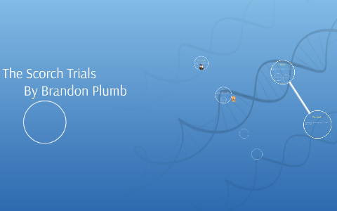 The Scorch Trials by Brandon Plumb