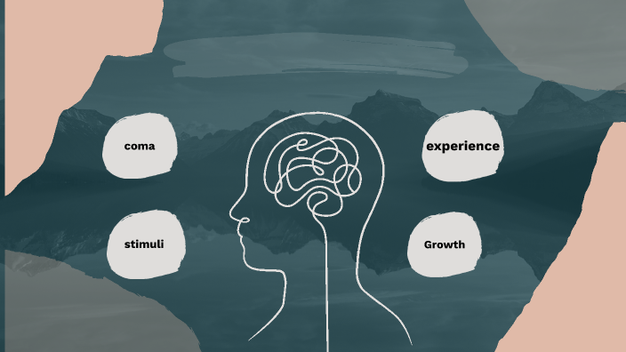 coma by amelle strijbosch on Prezi