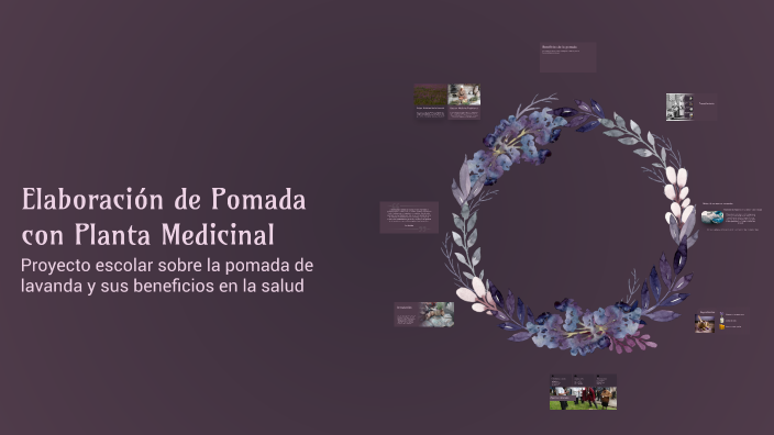 Elaboración de Pomada con Planta Medicinal by Datun on Prezi
