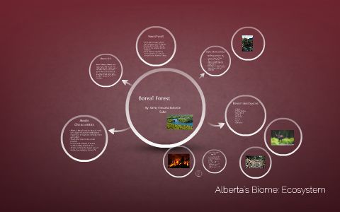 Biomes in Alberta by Kathy Kim on Prezi