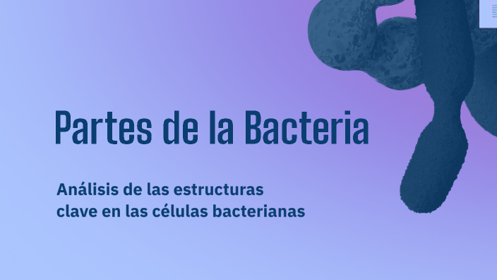 Partes de la Bacteria by miguel contreras colin on Prezi